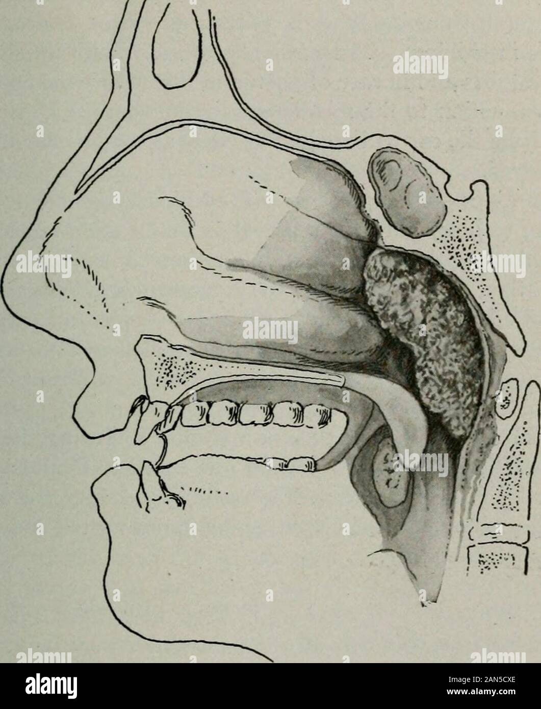 Care and feeding of infants and children; a text-book for trained ...