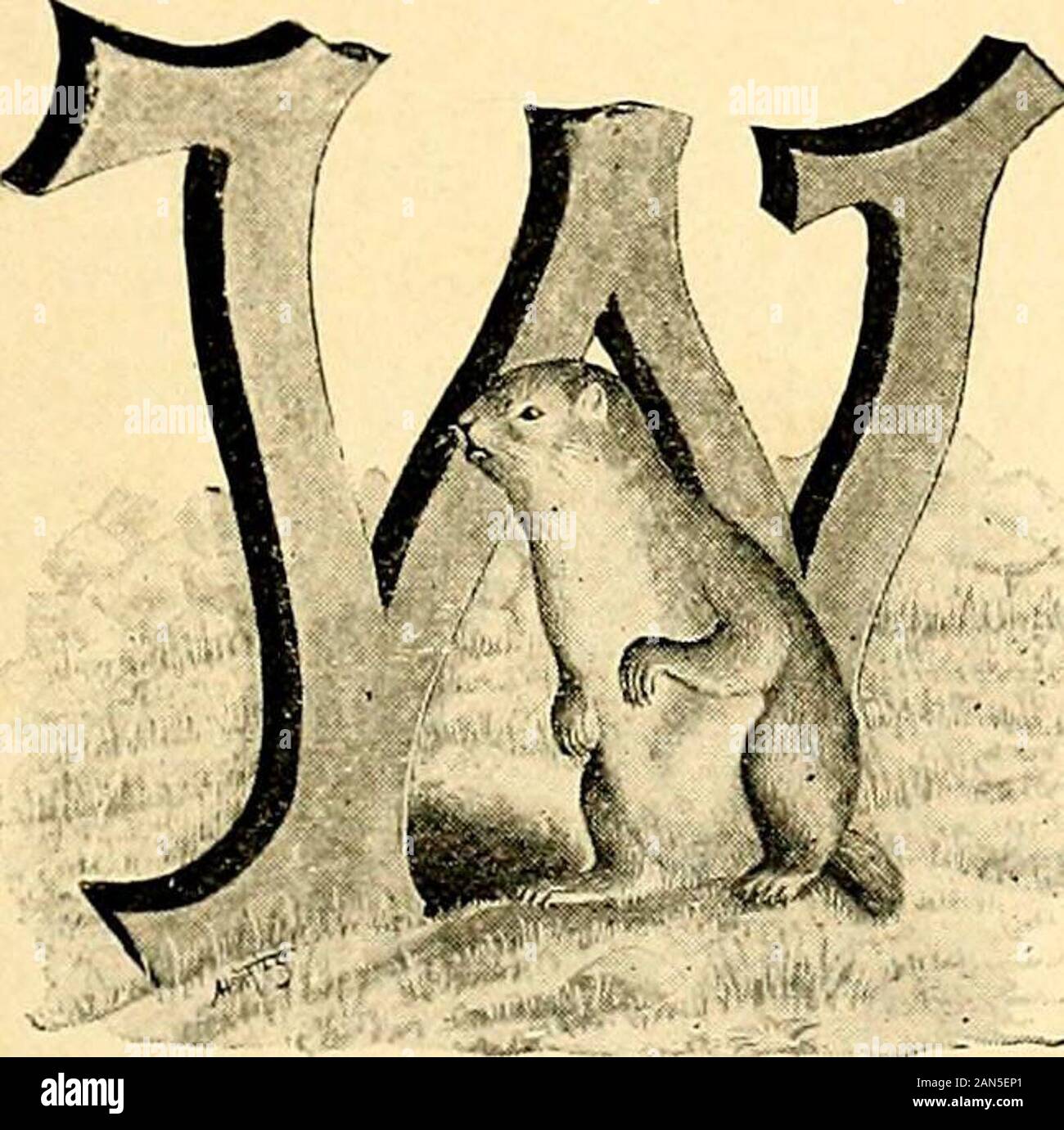 Miss footed hi-res stock photography and images - Alamy