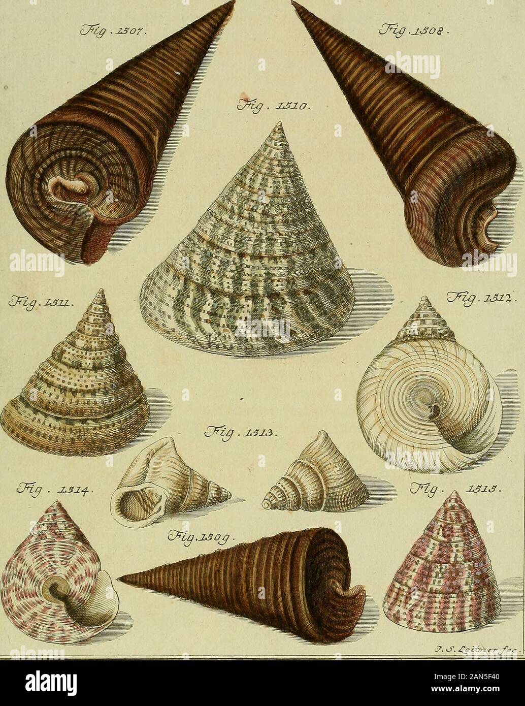 Aos sí hi-res stock photography and images - Alamy