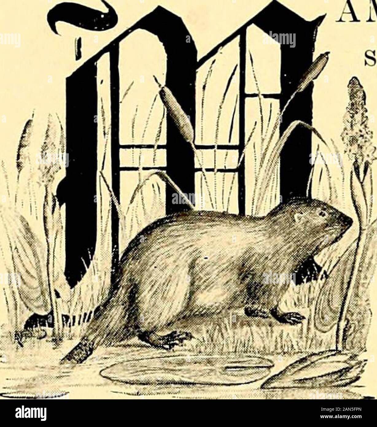 Rod morrow hi-res stock photography and images - Alamy