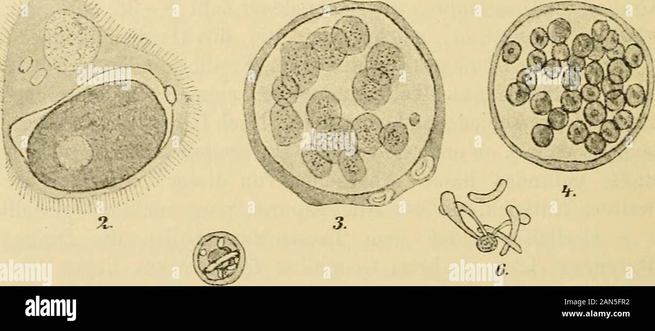 Der kloss hi-res stock photography and images - Alamy