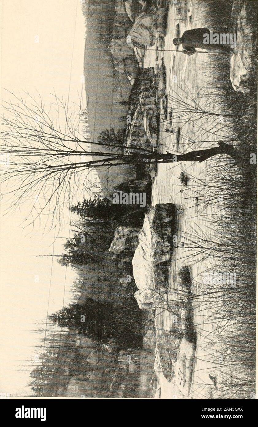 The life and times of Henry Gassaway Davis, 1823-1916 . n from the two Goffs—W. L. Wilsons ...