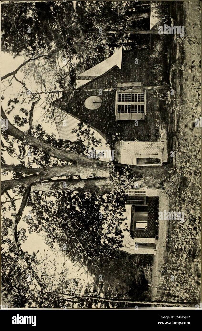 Harry f vickers hi-res stock photography and images - Alamy