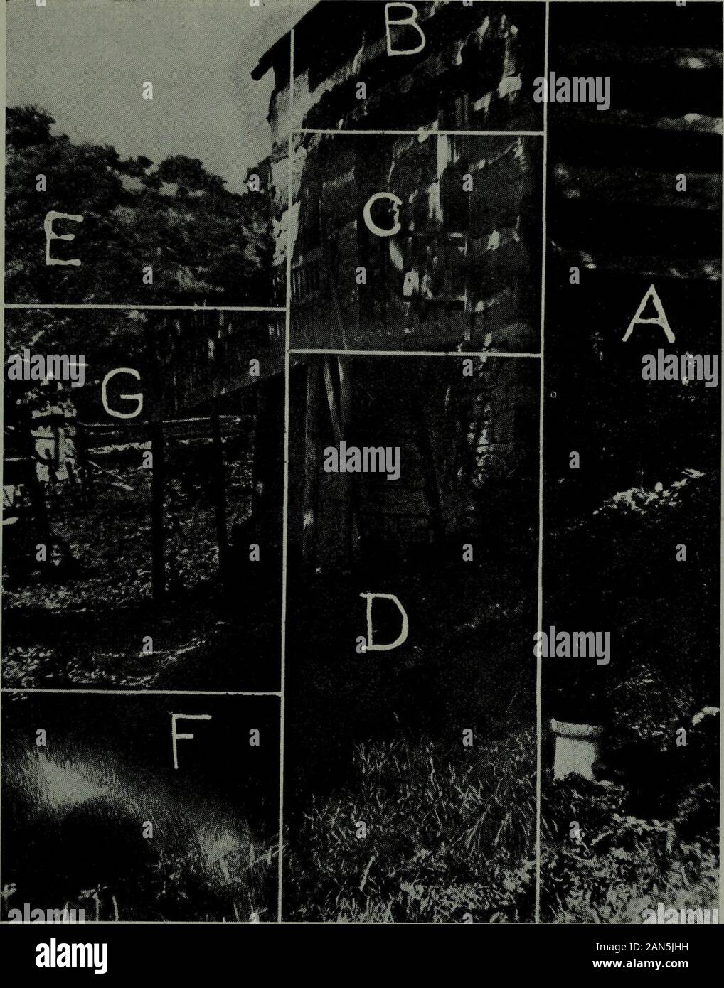 Bromoil process hi-res stock photography and images - Alamy