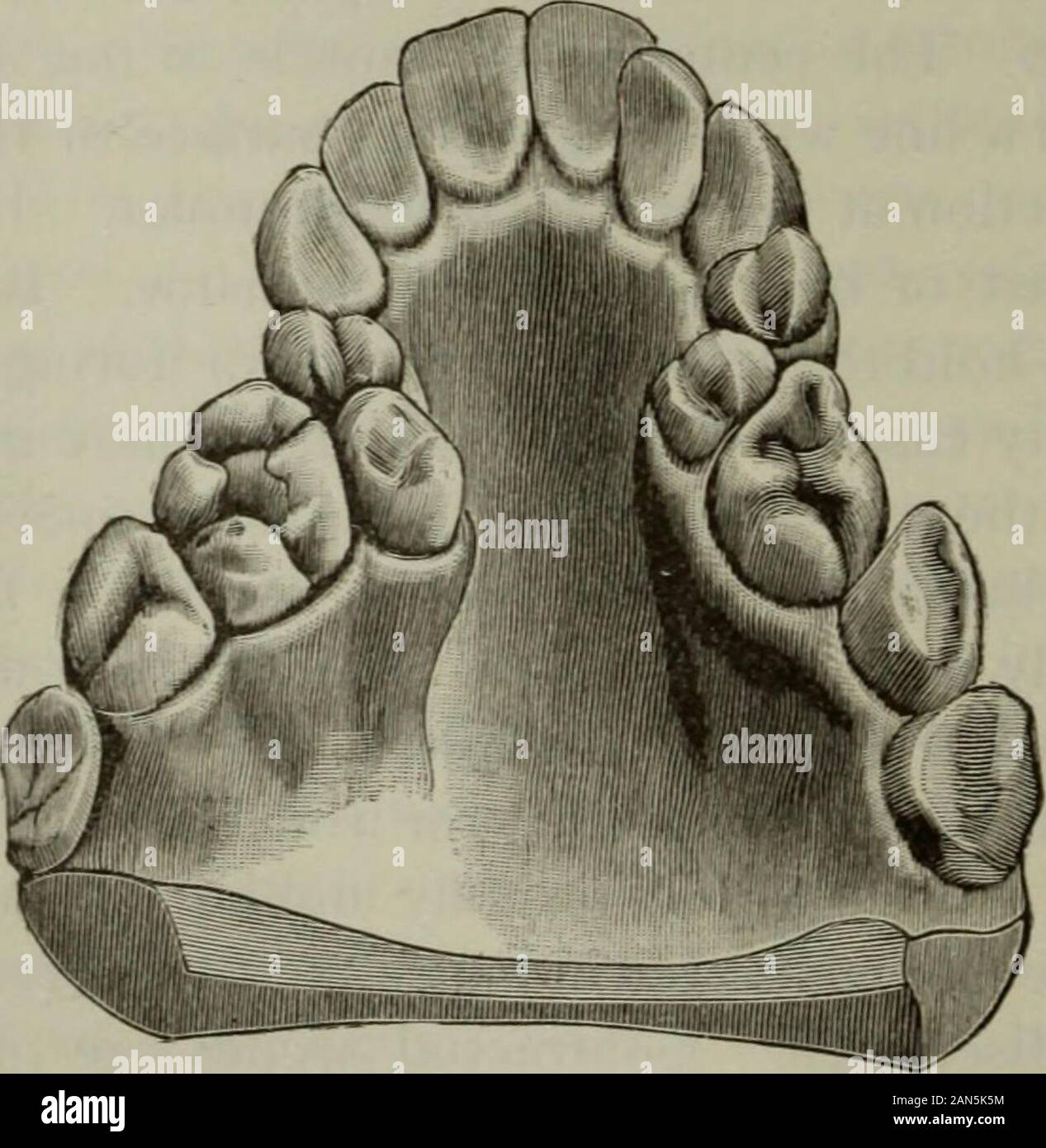 The Dental cosmos . ance, and the teeth are more easily carried in one ...