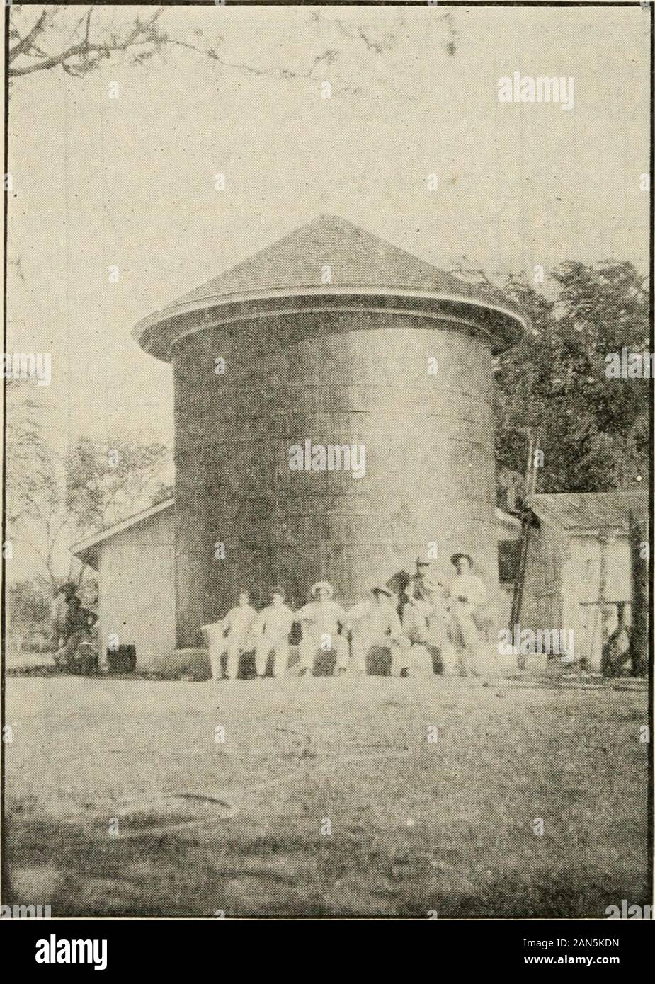 Open pit silage hi-res stock photography and images - Alamy