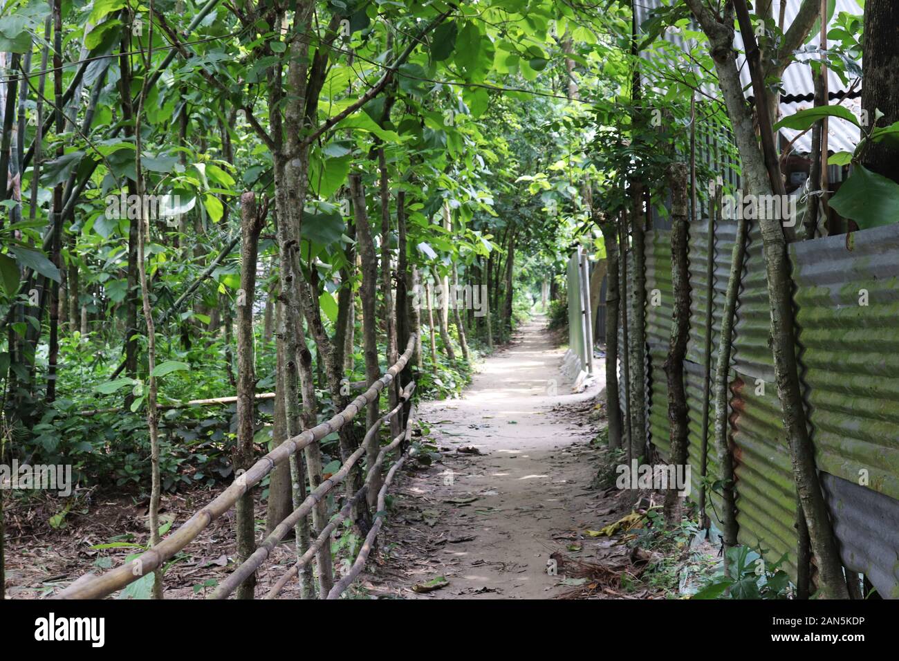 Village Road. Nature Landscape Village Road in Bangladesh Stock Photo ...