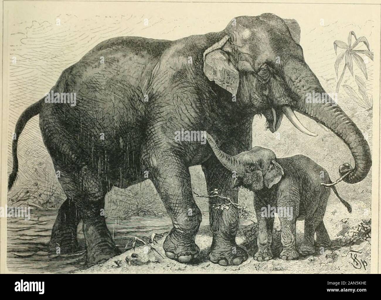 Hten hi-res stock photography and images - Alamy