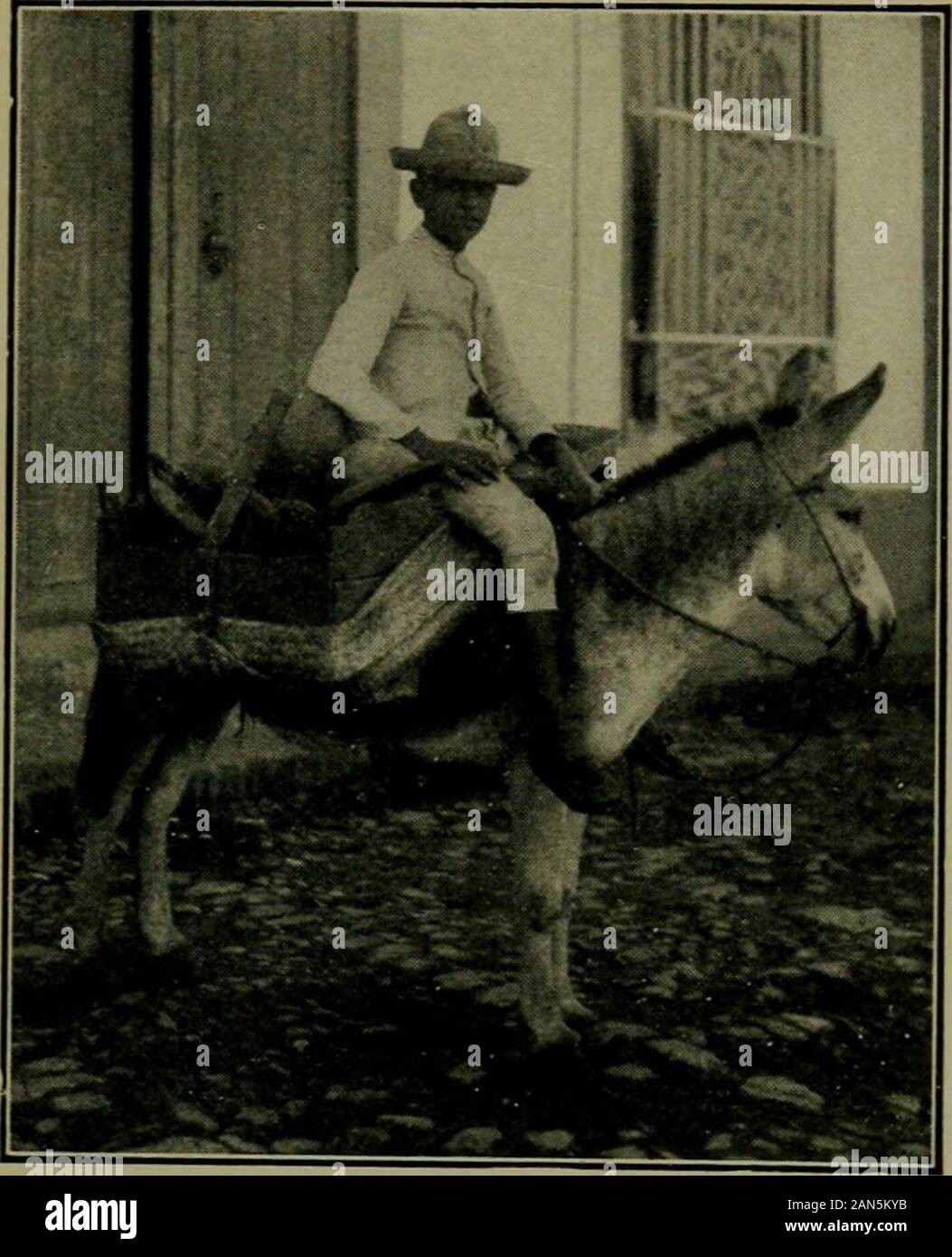 Alai sweets hi-res stock photography and images - Alamy