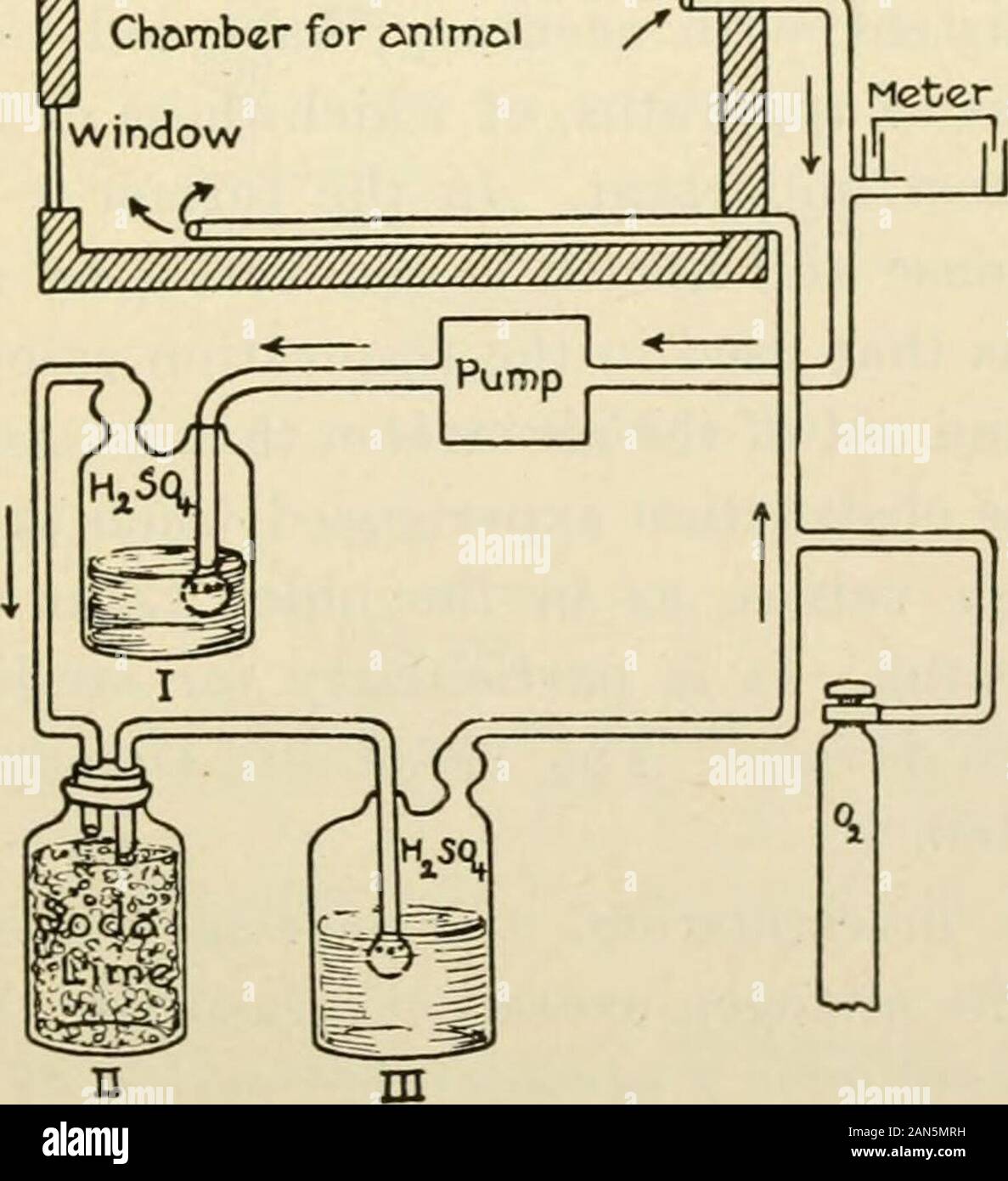 Respiration Calorimeter High Resolution Stock Photography and Images ...