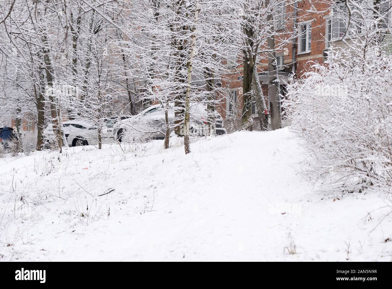 City street in winter after snowfall Stock Photo - Alamy