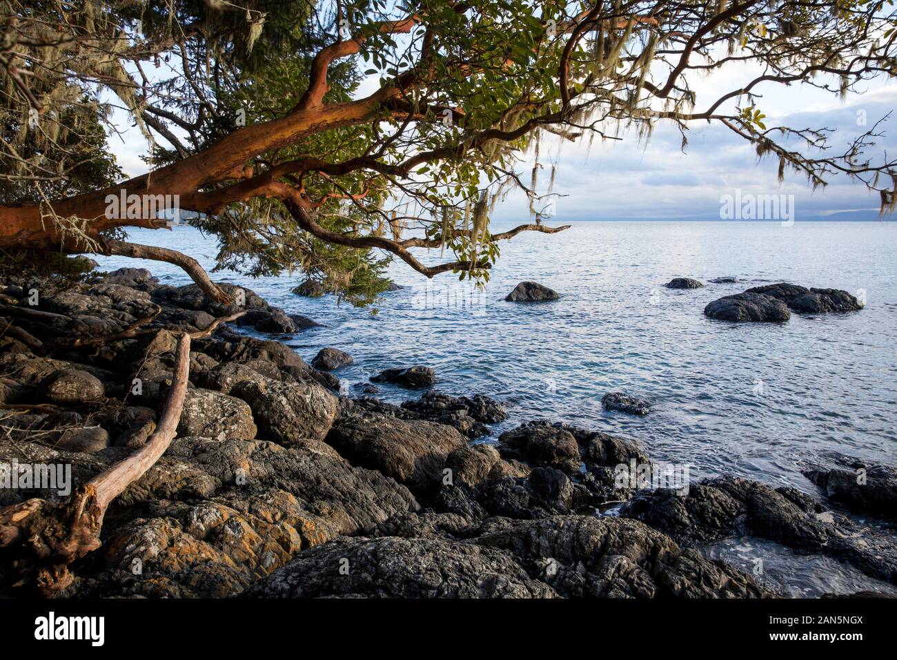 A view of the water from East Sooke Regional Park, Vancouver Island ...