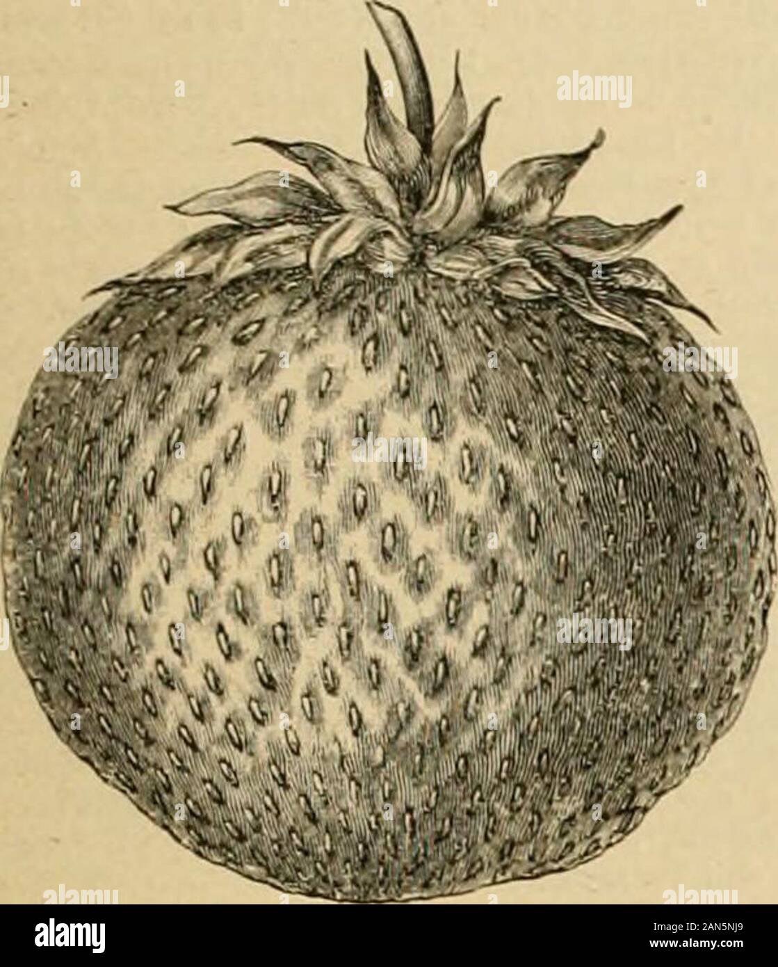 Terry shaffer hi-res stock photography and images - Alamy