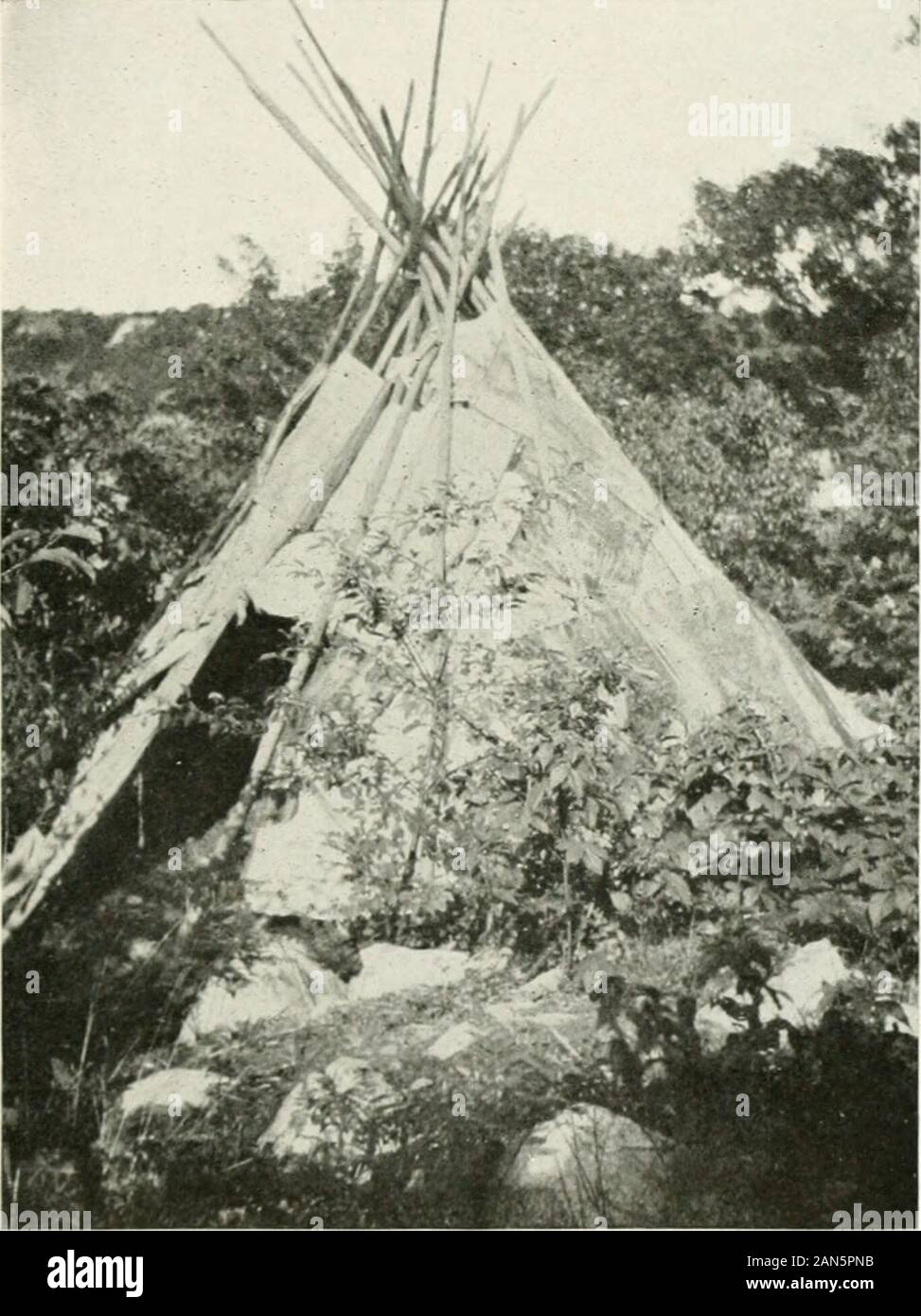 Beothuk and Micmac . C the aboriginal form and architecture ...