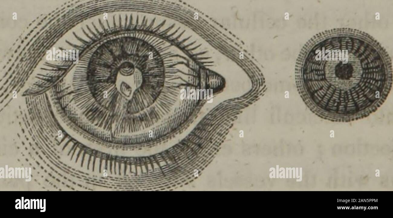 The practice of surgery : embracing minor surgery and the application ...