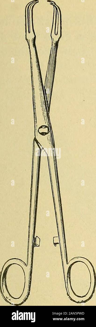 Pathology and treatment of diseases of women . Fig. 29.—Needle-holder ...