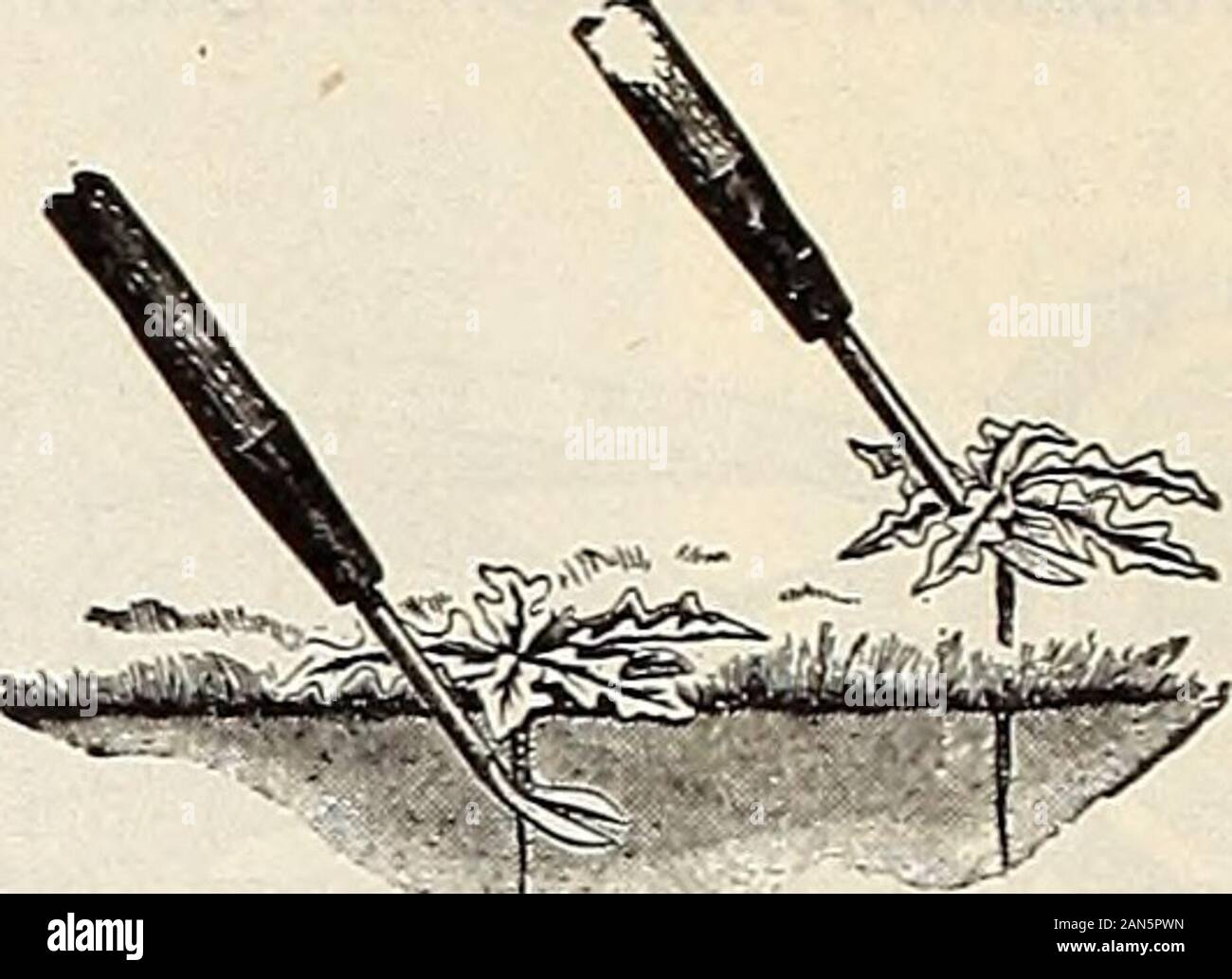 English forged trowel hi-res stock photography and images - Alamy