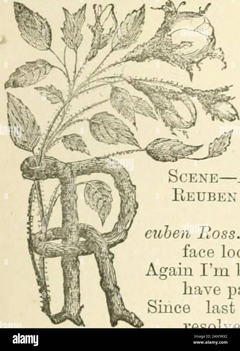 Ross heaven hi-res stock photography and images - Alamy