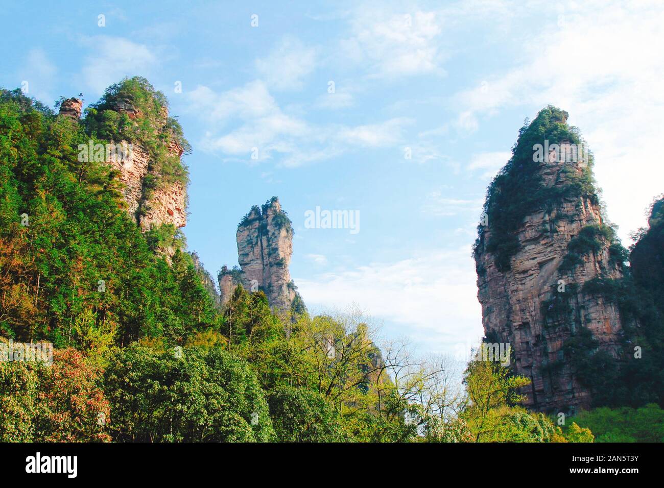 Hunan, Hunan, China. 16th Jan, 2020. Hunan, CHINA-With the popularity ...