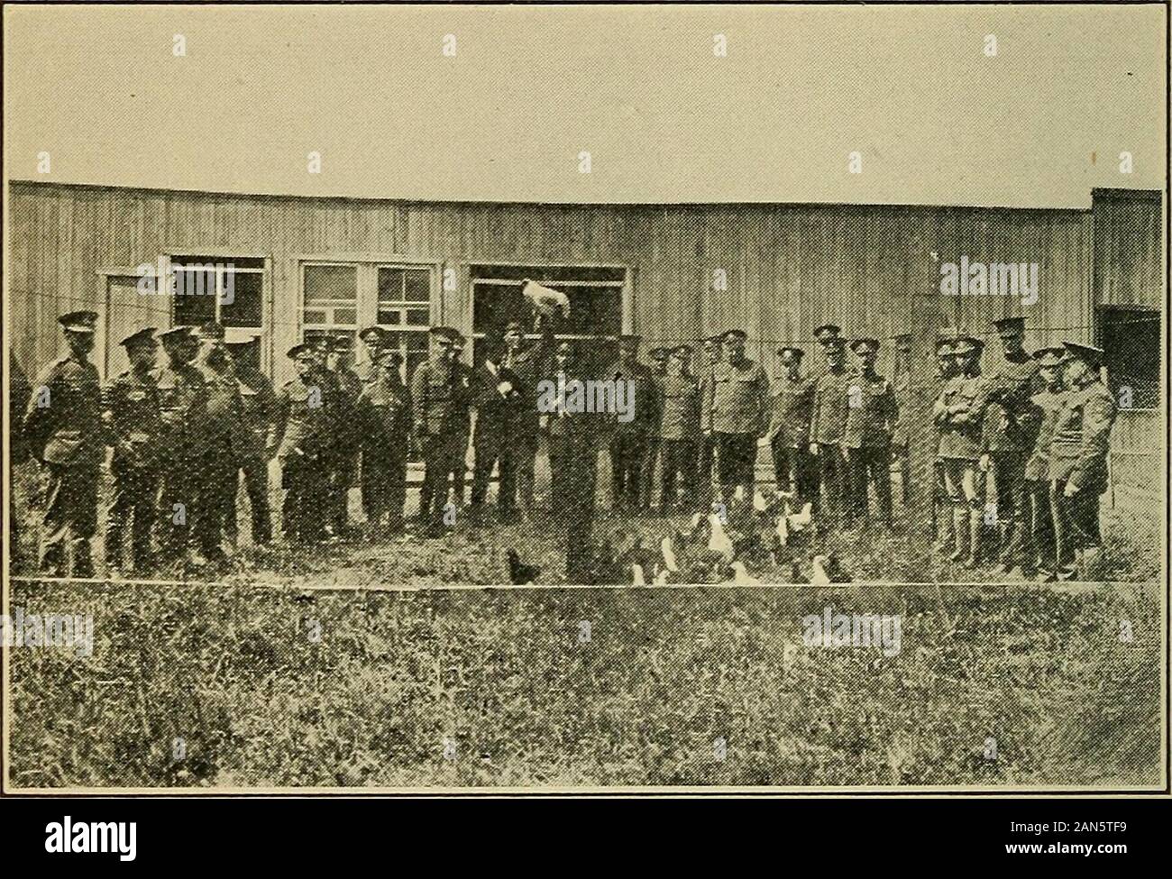 Binding limbs hi-res stock photography and images - Alamy