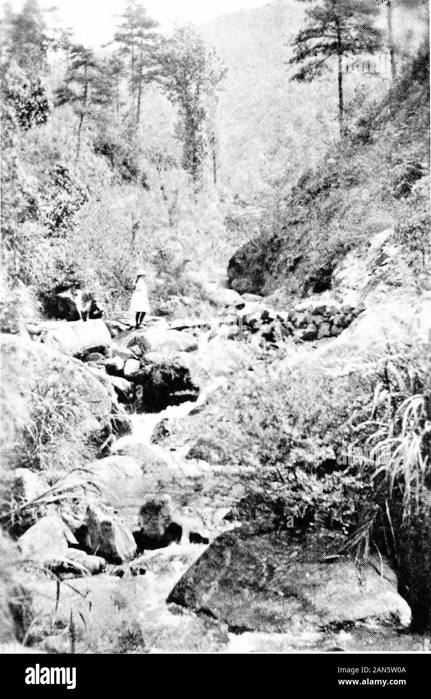 Pink purple cave Black and White Stock Photos & Images - Alamy