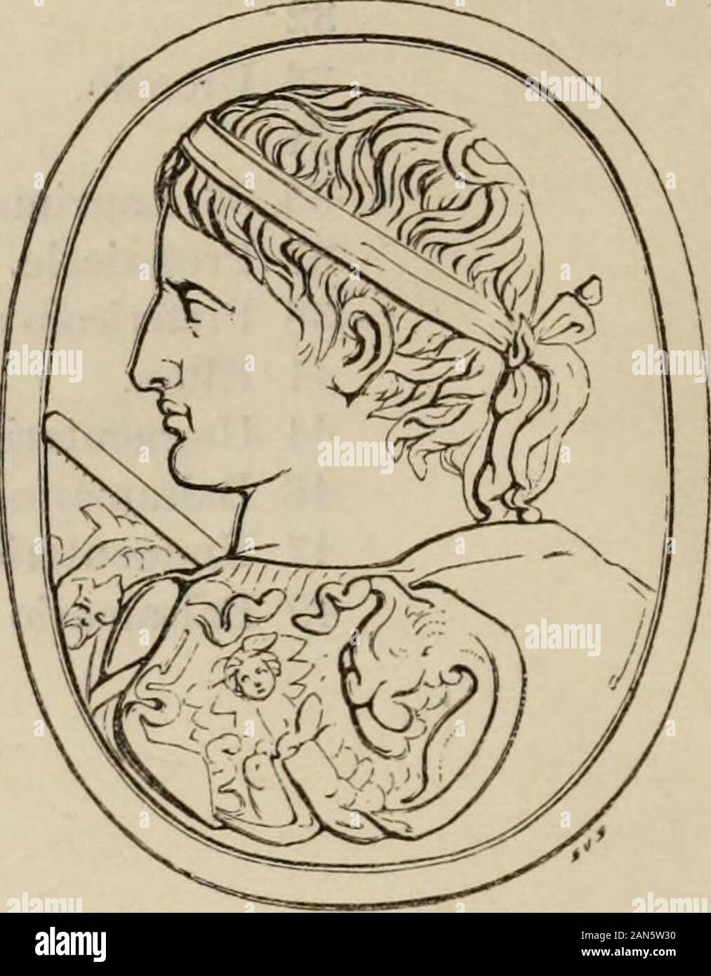 Bombylios hi-res stock photography and images - Alamy