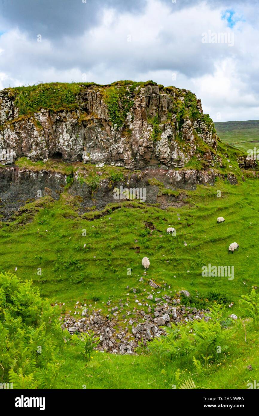 Fairy Glade High Resolution Stock Photography and Images - Alamy