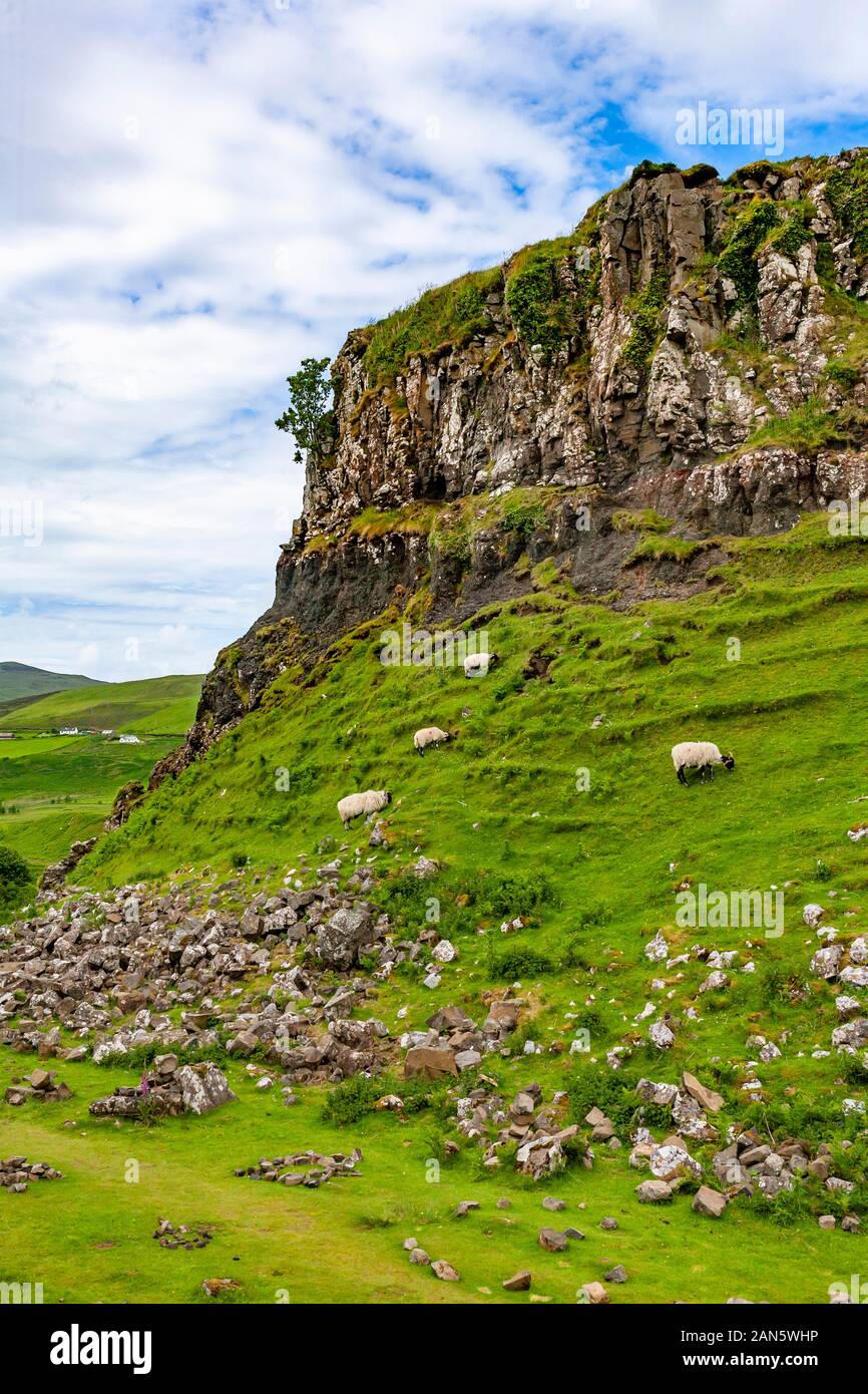 Fairy Glade High Resolution Stock Photography and Images - Alamy