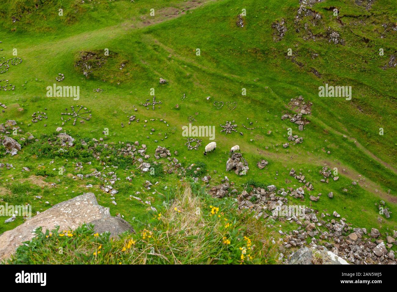 Fairy Glade High Resolution Stock Photography and Images - Alamy