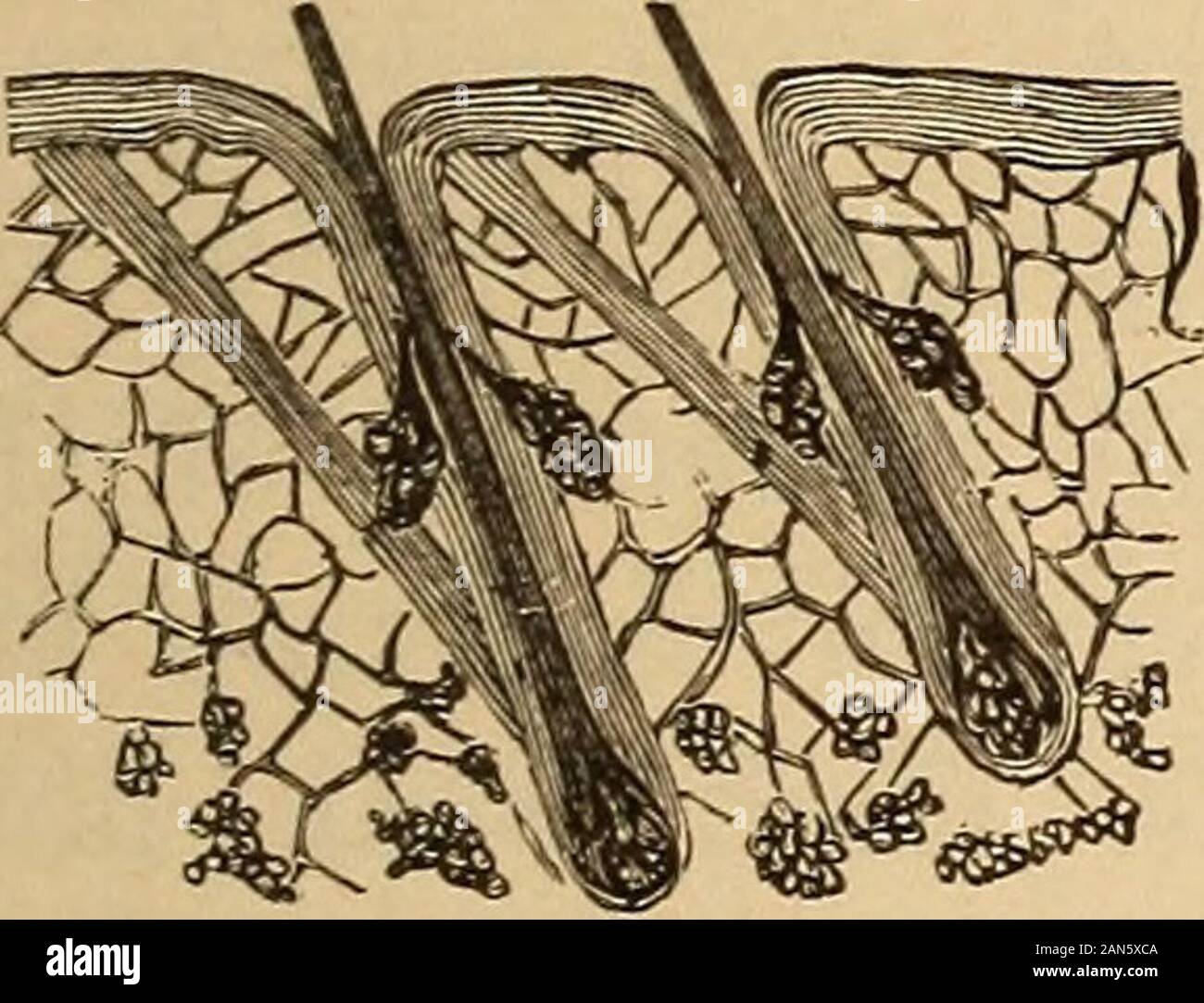 Containing clusters hi-res stock photography and images - Alamy