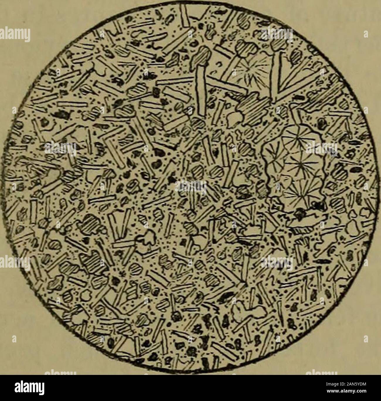 Variolitic hi-res stock photography and images - Alamy