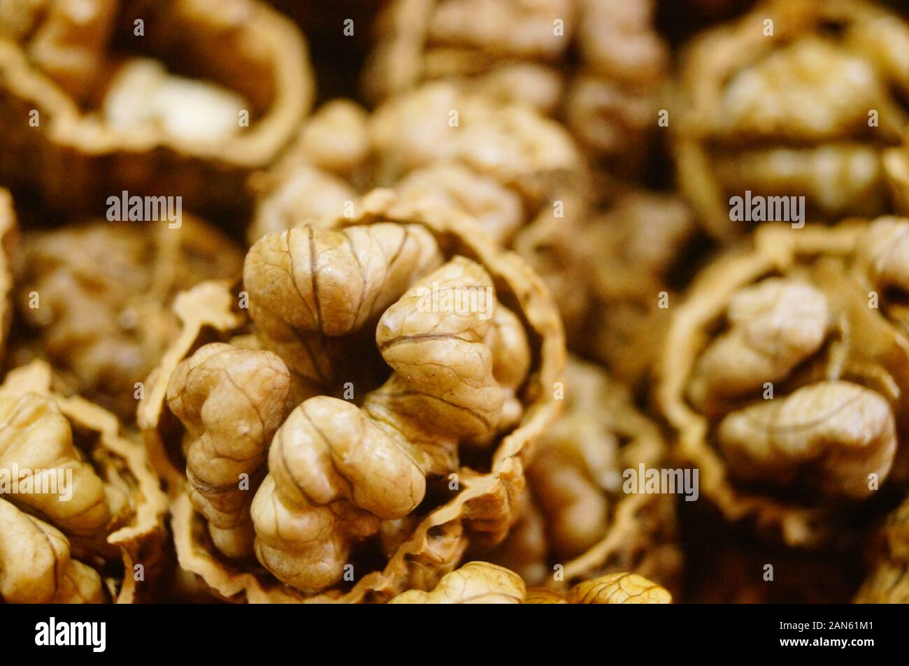 Close up of dried walnuts Stock Photo - Alamy