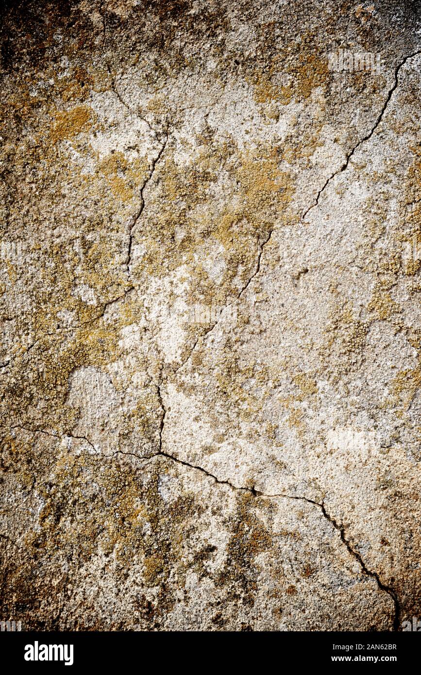 Concrete background close up at high resolution Stock Photo - Alamy