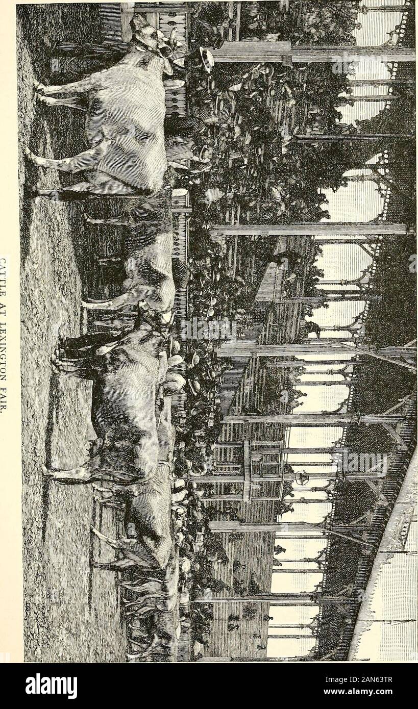 Trav elling hi-res stock photography and images - Alamy