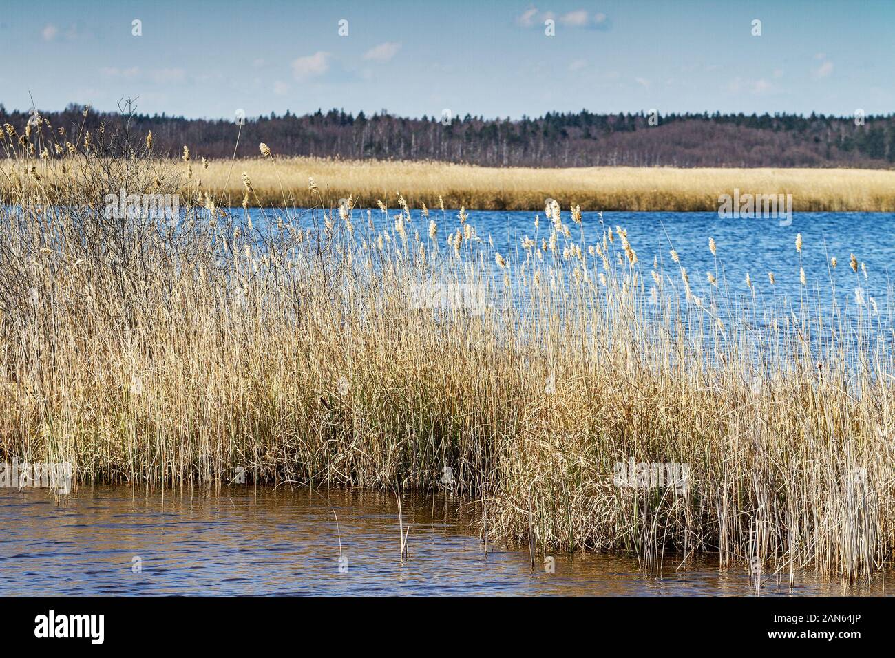 Ripple grasses hi-res stock photography and images - Alamy