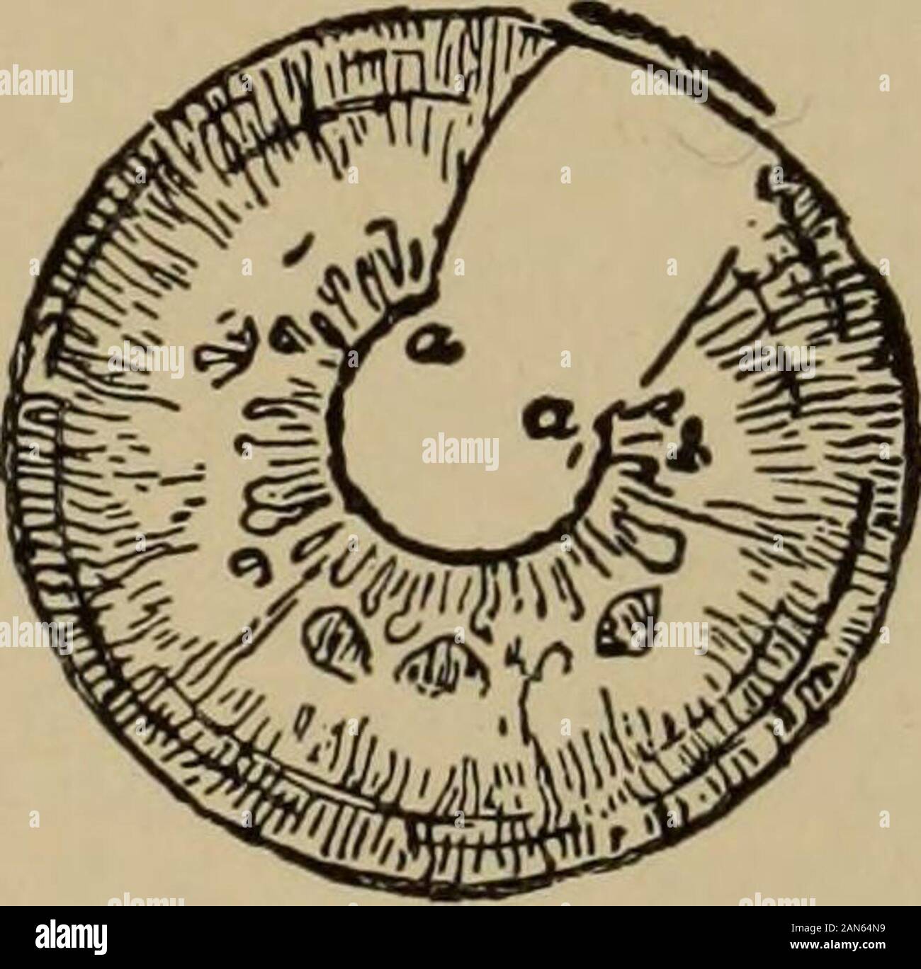 132 x 1 in hi-res stock photography and images - Alamy