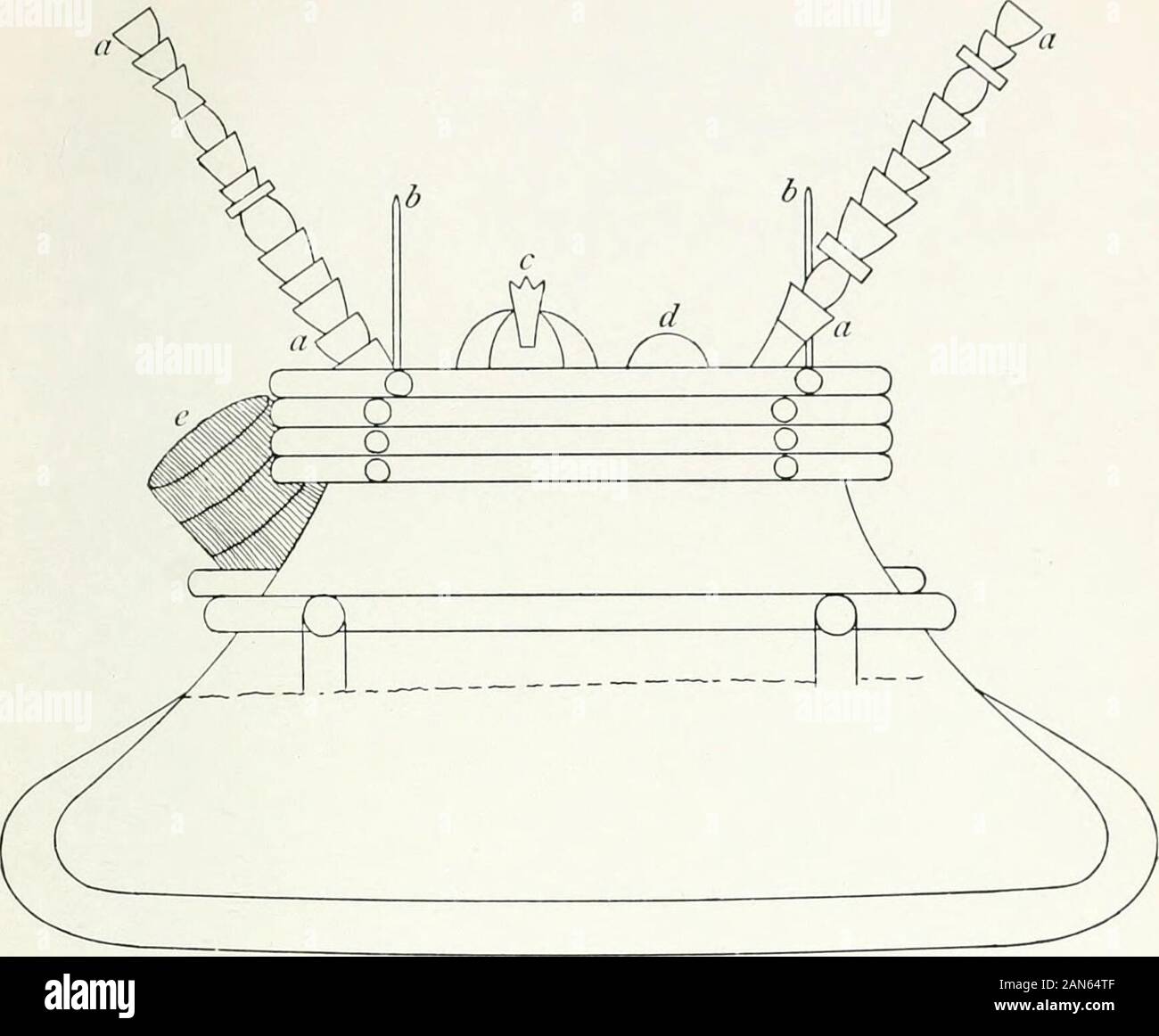 Nesan hi-res stock photography and images - Alamy
