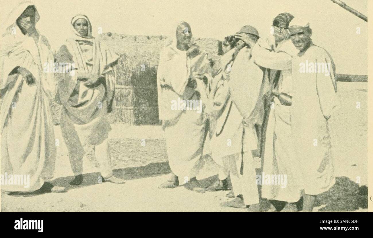 Zariba hi-res stock photography and images - Alamy