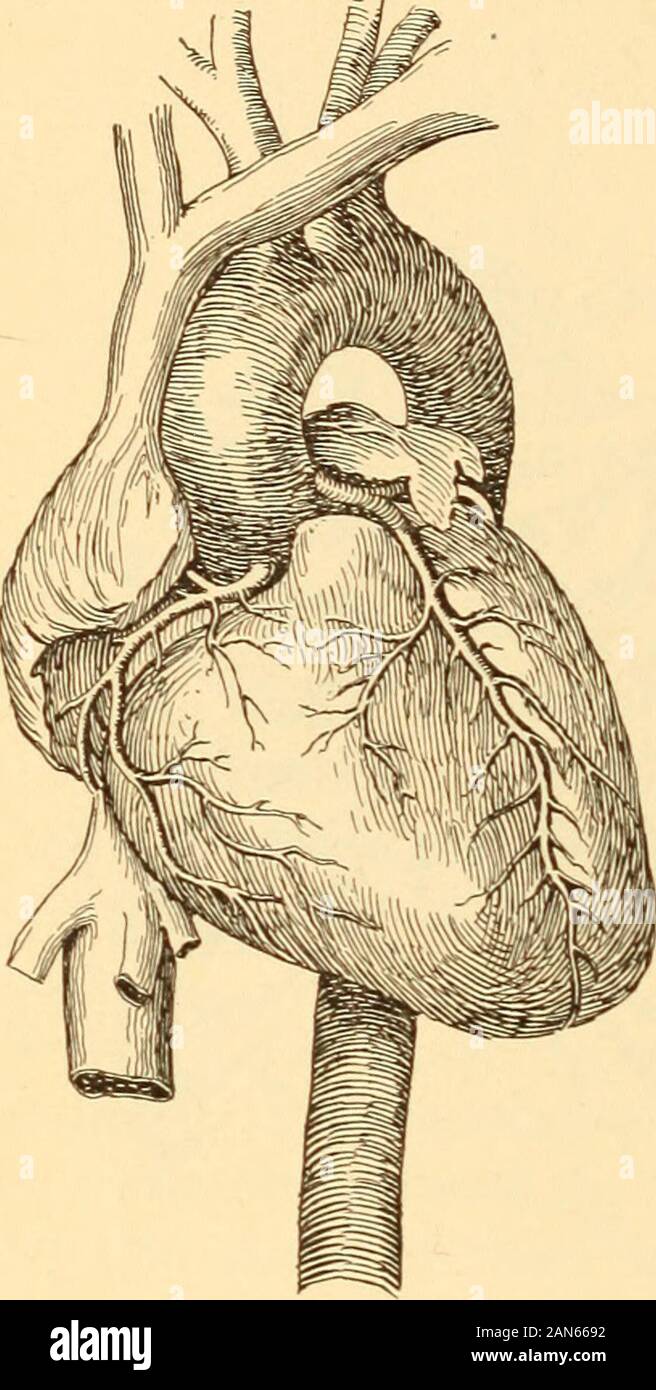 Valve cord hi-res stock photography and images - Alamy
