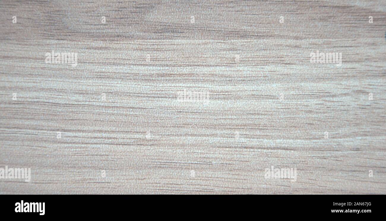 Natural bleached wood. Background. Texture Close-up Stock Photo - Alamy