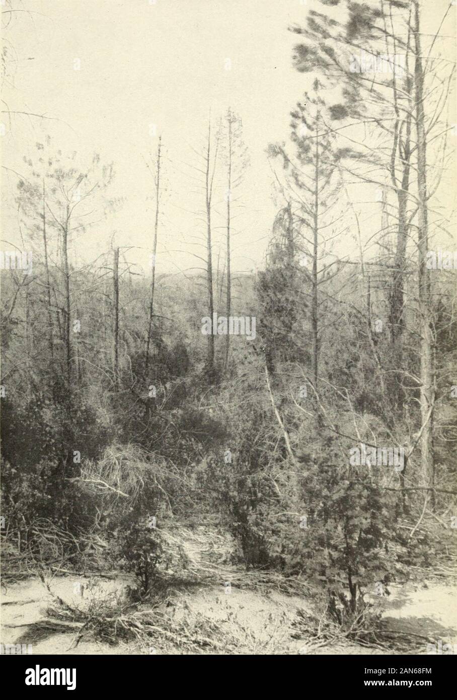 Injury to vegetation and animal life by smelter wastes . mining whether ...