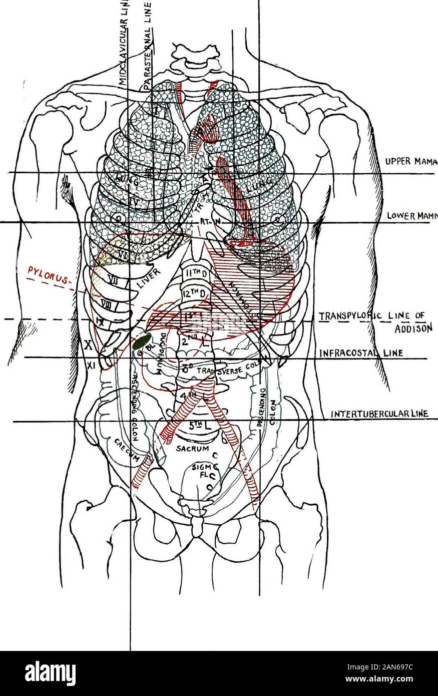 The signs of internal disease, with a brief consideration of the ...