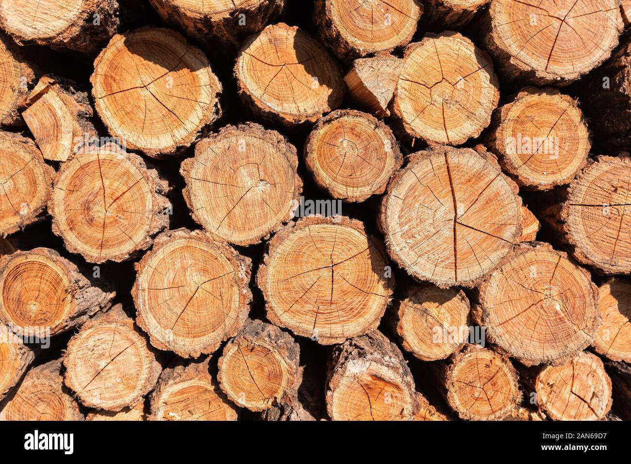 Wood cut texture background Stock Photo - Alamy