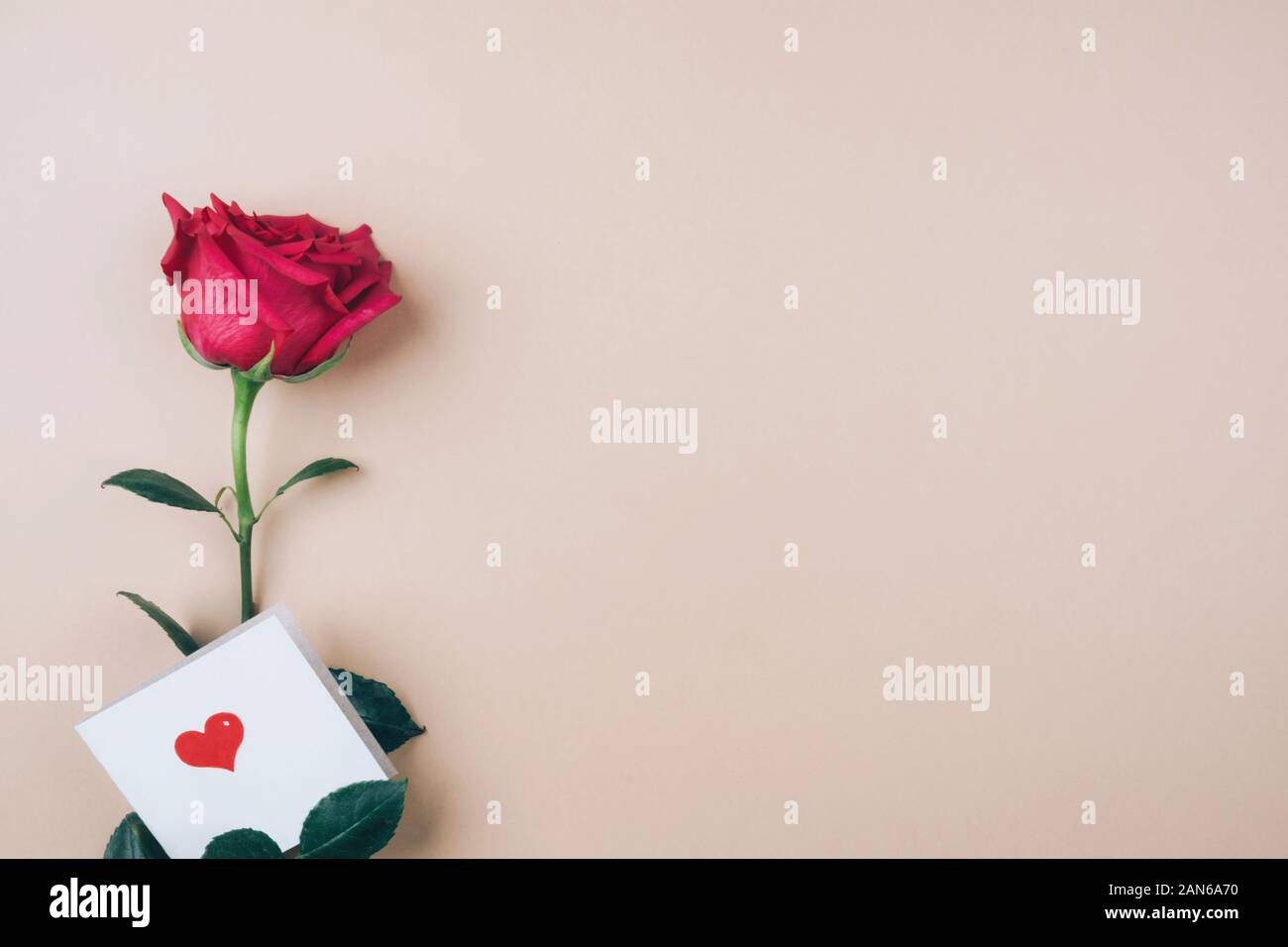 Greeting background with a rose and a love note Stock Photo - Alamy