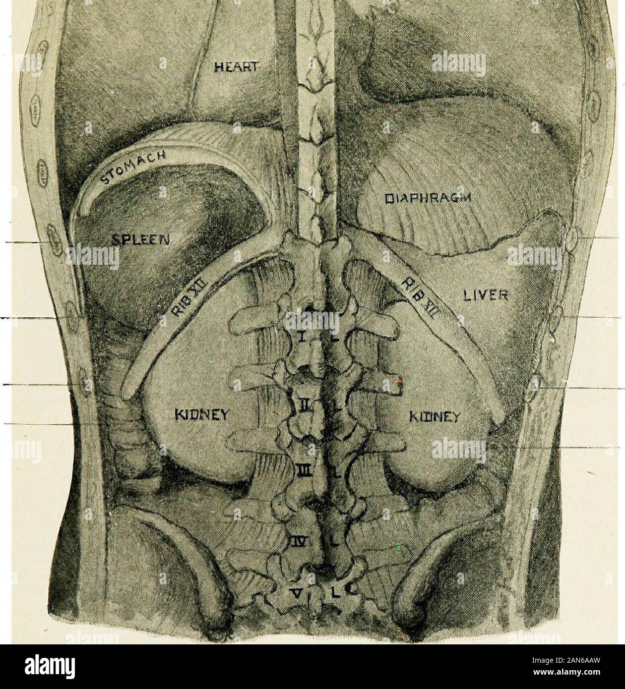 The signs of internal disease, with a brief consideration of the ...