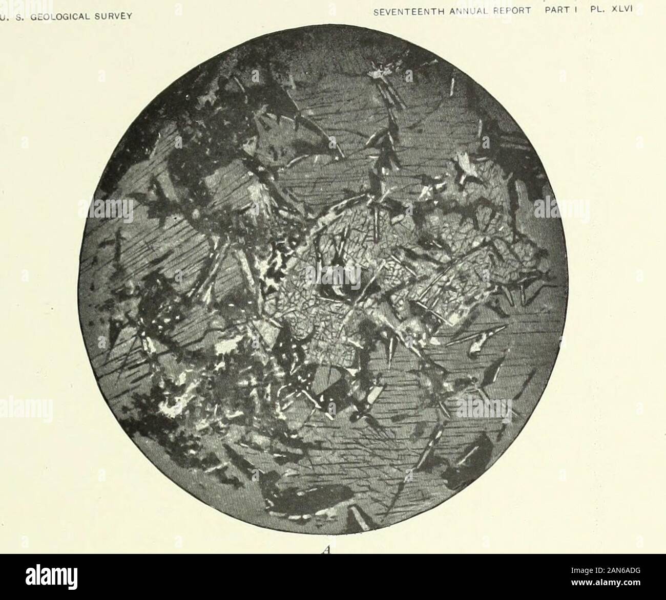 Diorite inclusions hi-res stock photography and images - Alamy