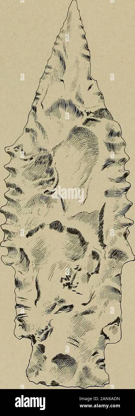 Humanremains hi-res stock photography and images - Alamy