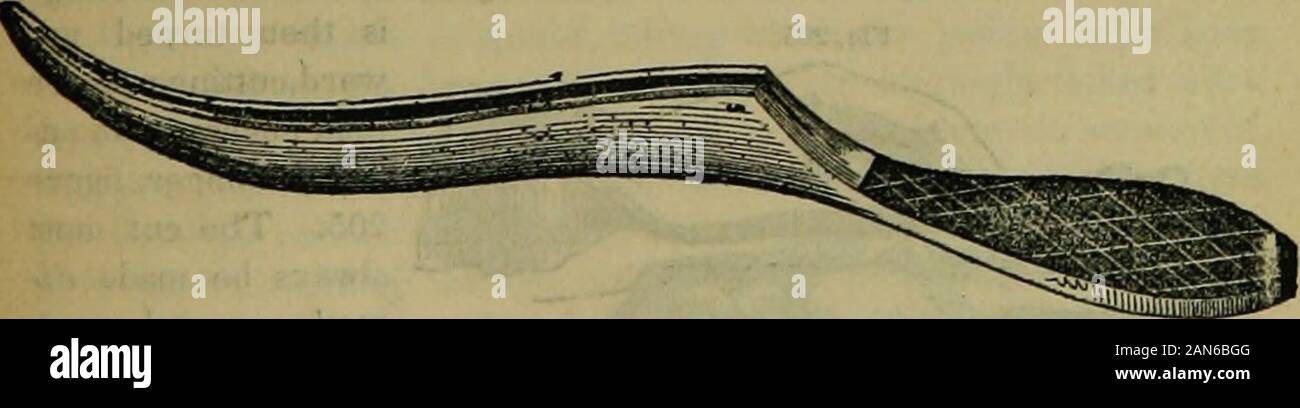 Jouncing hi-res stock photography and images - Alamy