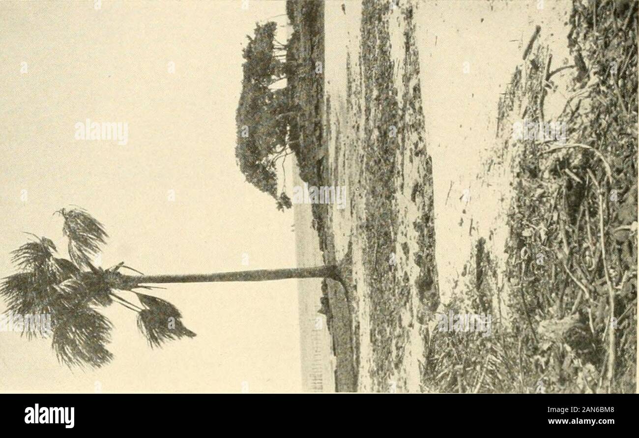 Treeless grasslands hi-res stock photography and images - Alamy