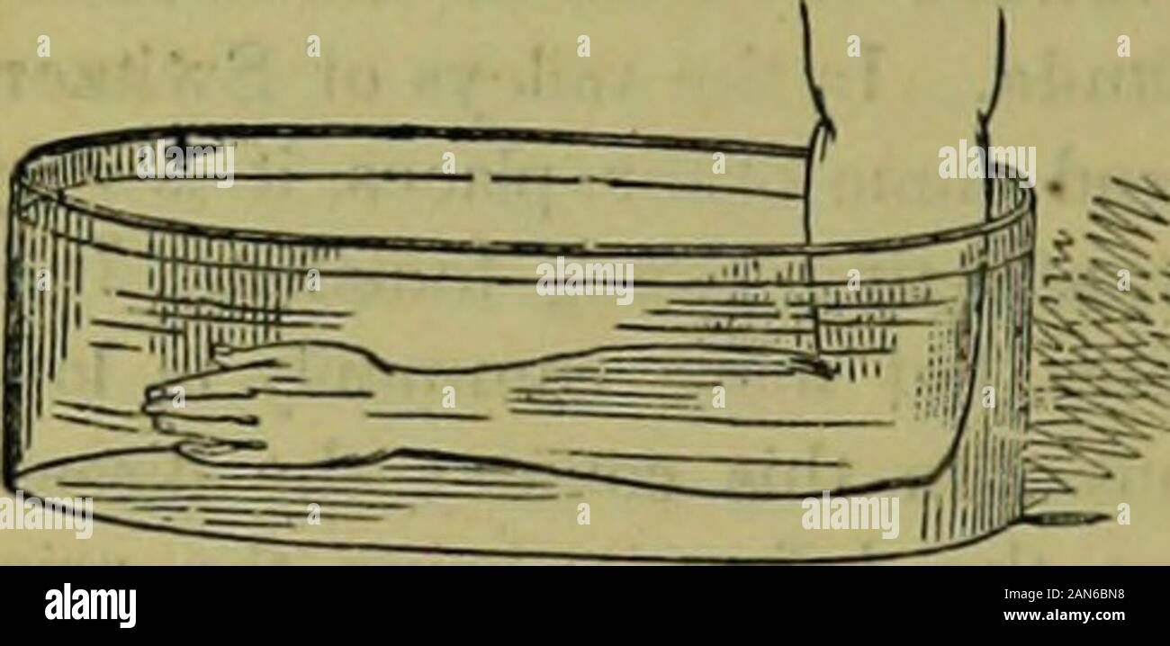 Subcutaneous Areolar Tissue High Resolution Stock Photography and ...